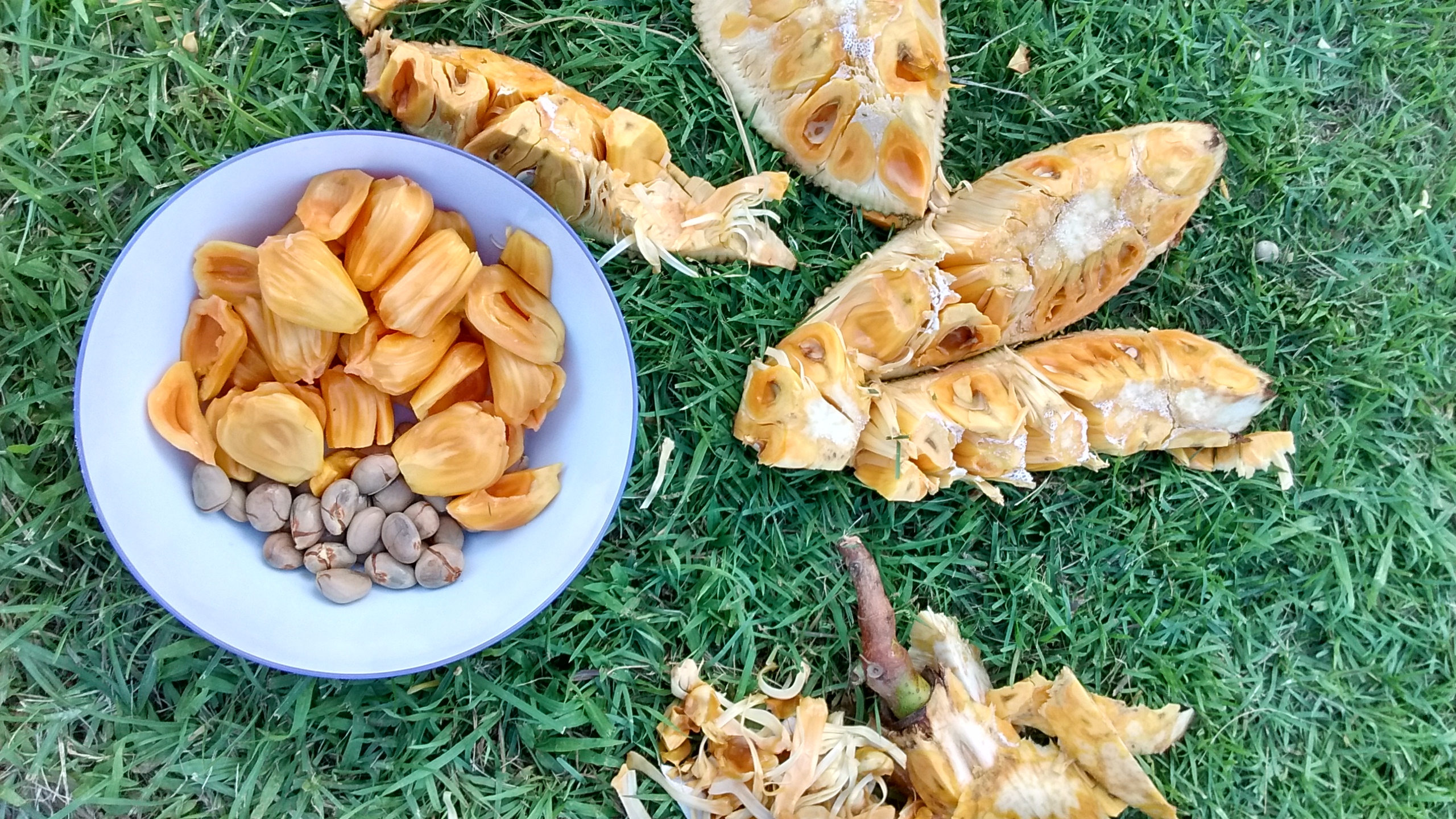 8 of our favourite tropical fruit | A Cook Not Mad - Food and Travel Blog